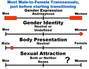 Trans Group Blog: Gender Identity, Gender Expression, Body Presentation ...